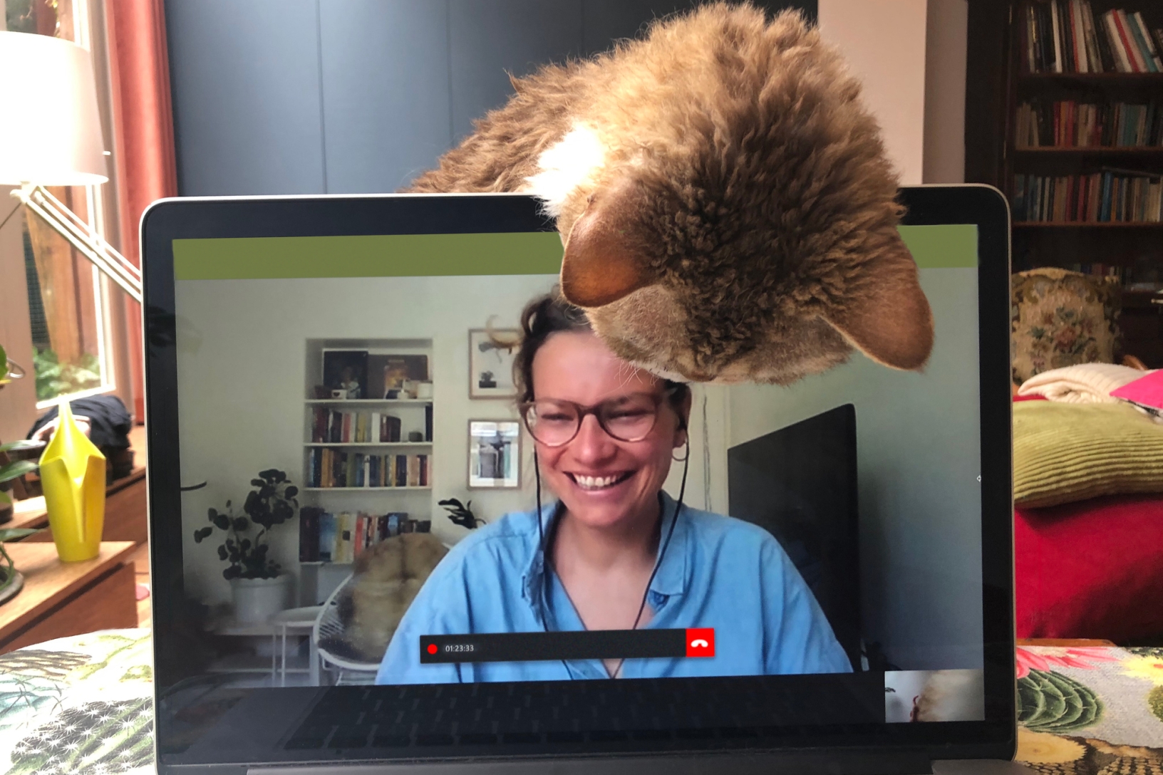 Disability | The Standard