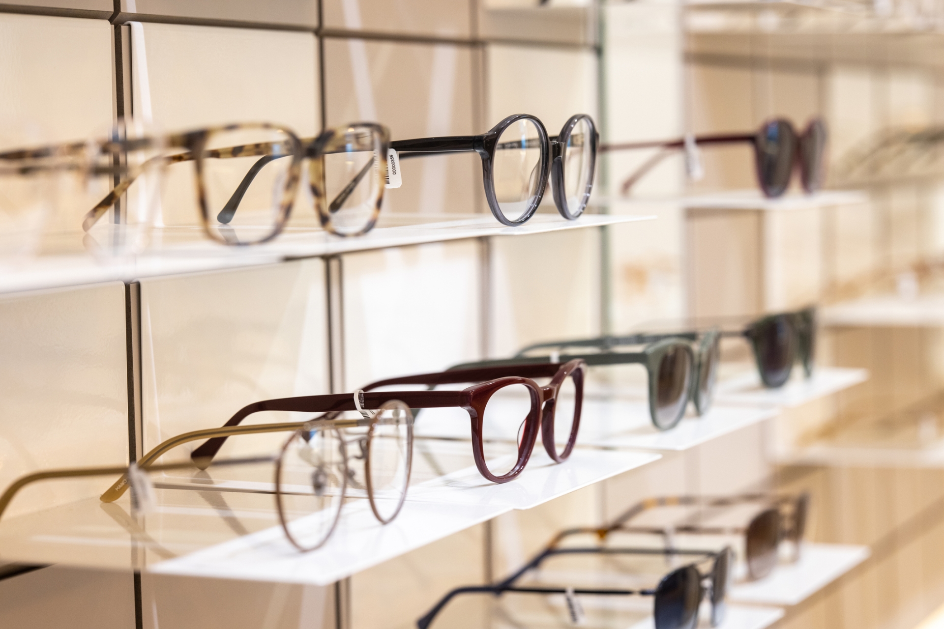 Vision | The Standard